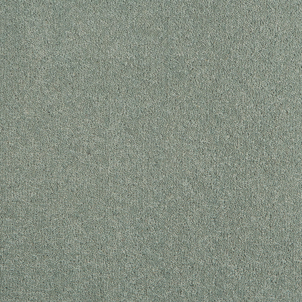 Pinnacle Twist Pistachio – Axminster Flooring & Factory Outlet